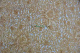 Wedding Bliss Fabric | 3D Floral Chiffon Fabric | Floral Chiffon Embro ...